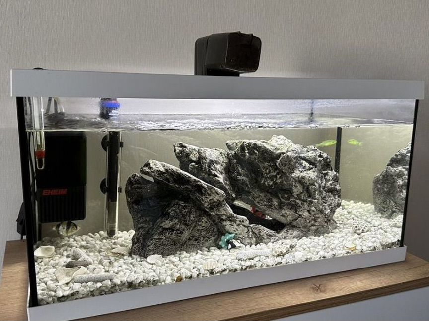 Аквариум eheim