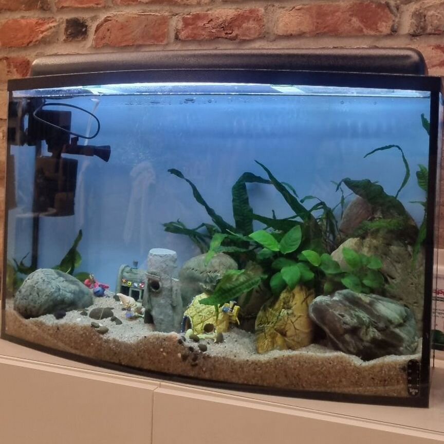 Аквариум 100 литров