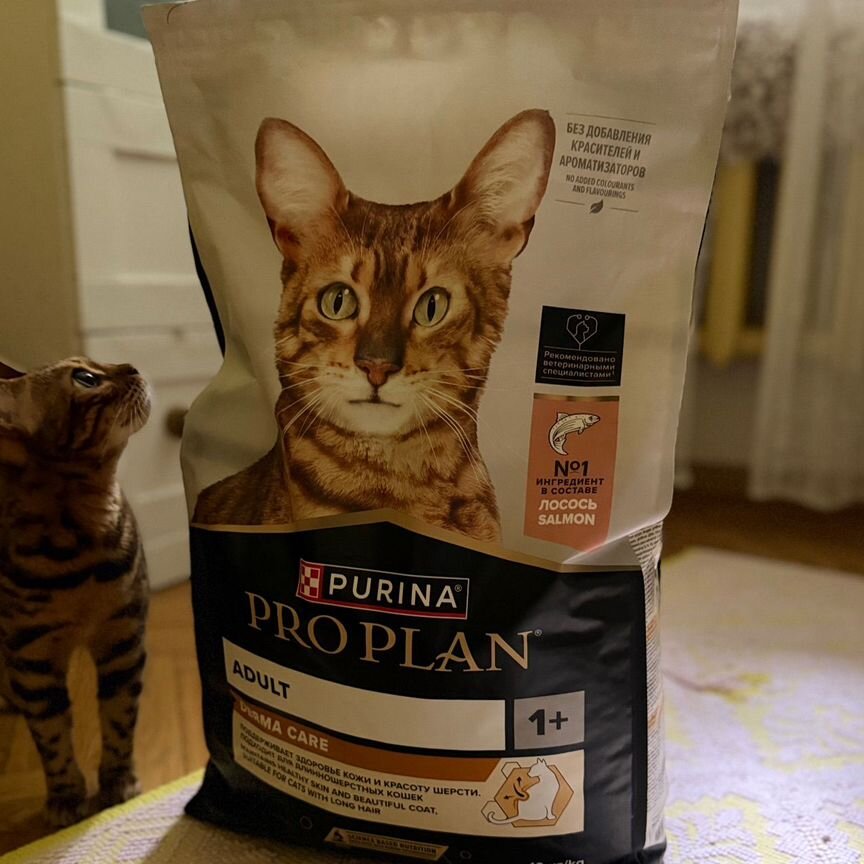 Корм для кошек proplan derma care