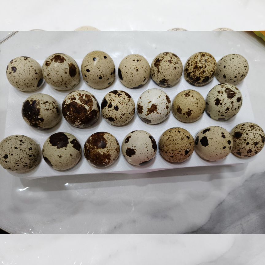 Яйцо домашнее перепелиное