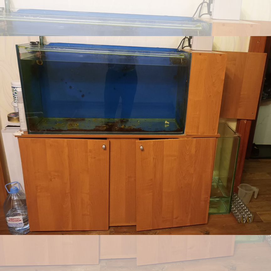 Аквариум для моря