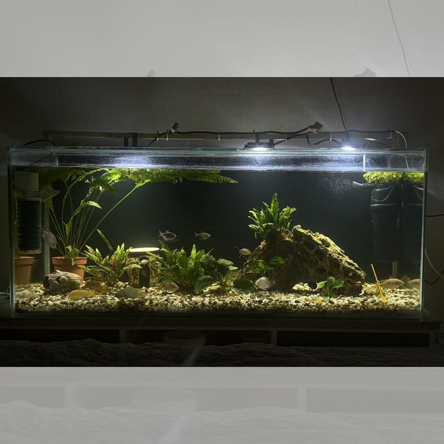 Готовый аквариум