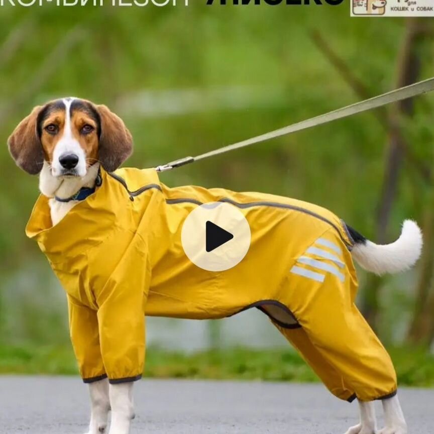 Водонепроницаемый комбинезон для собак