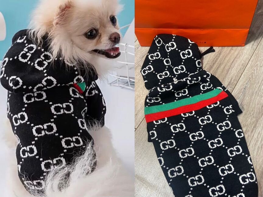 Костюм для кошек и собак