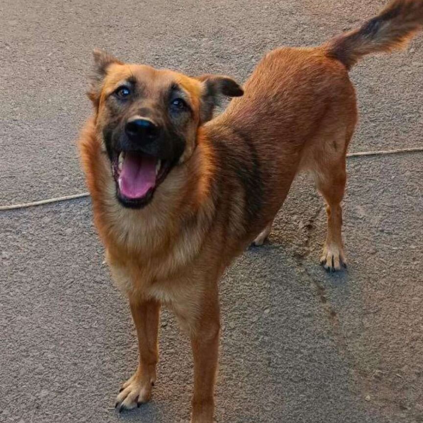 Мира ищет семью