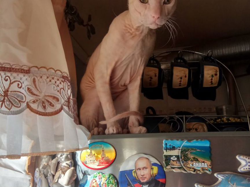 Приглашаем на вязку