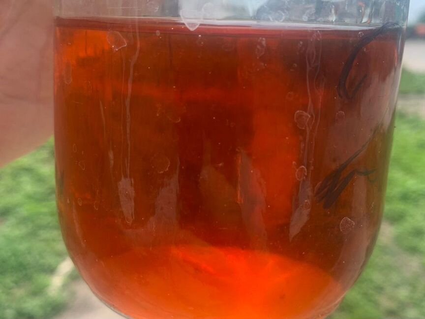 Рыбий жир ветеринарный (форель)