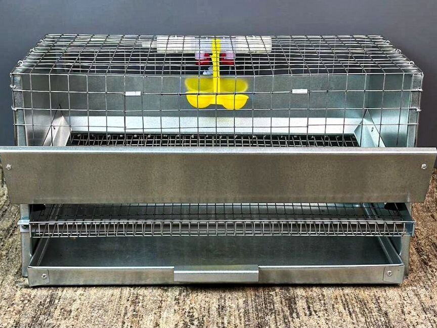 Клетка для цыплят перепелов