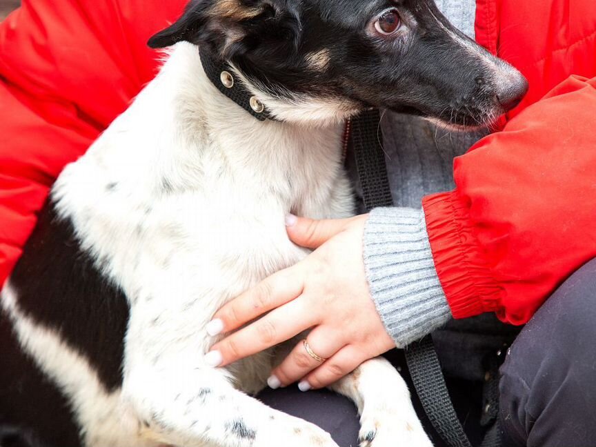 Милый Покемончик