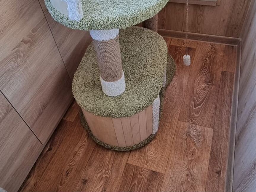 Когтеточка с домиком