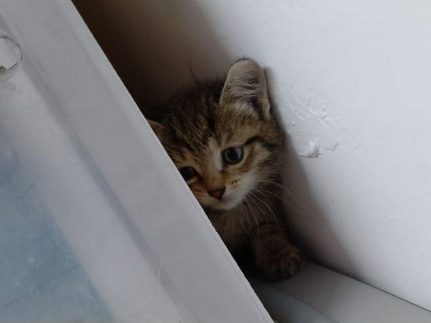 Замурчательный ребёнок