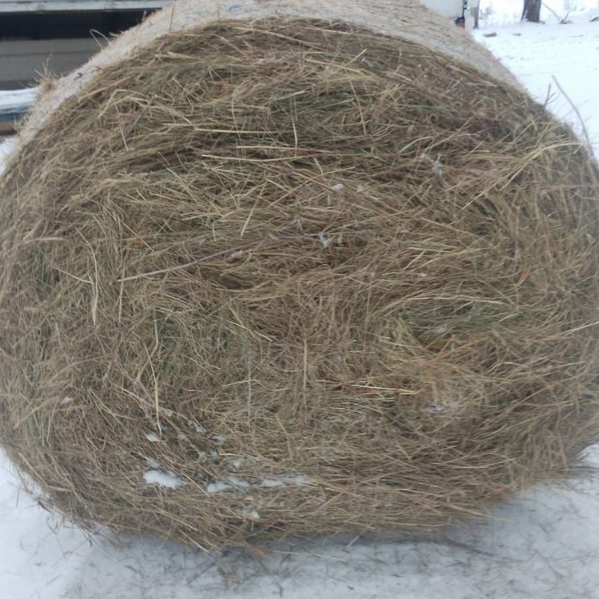 Луговое сено