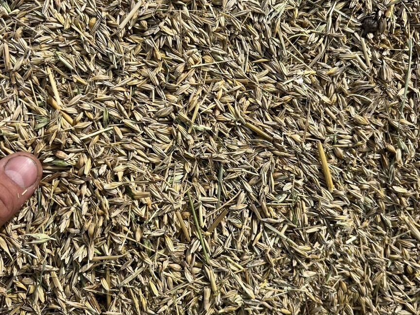 Отходы ячменя