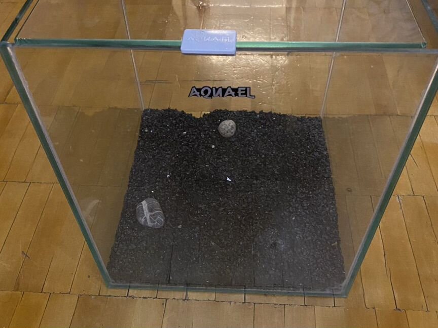 Аквариум aquael 20 литров