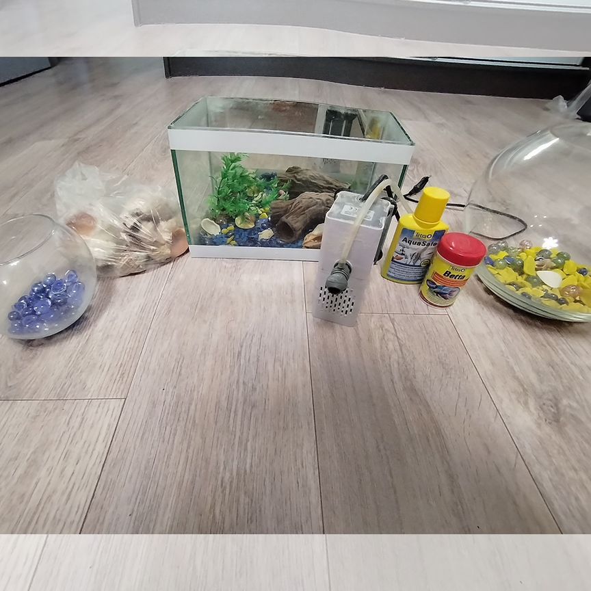 Аквариумы и все для них