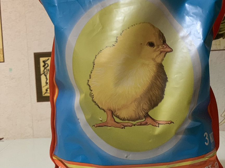Корм для цыплят