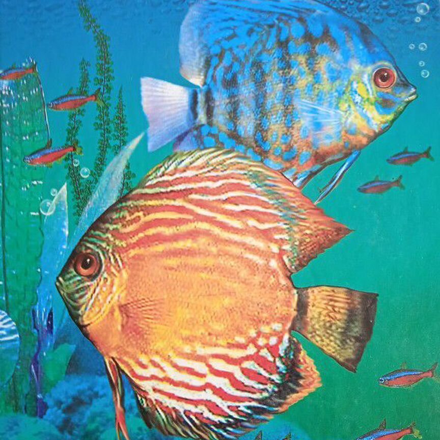 Аквариумные рыбки