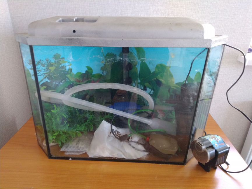 Бронь Аквариум 57*35*40 см