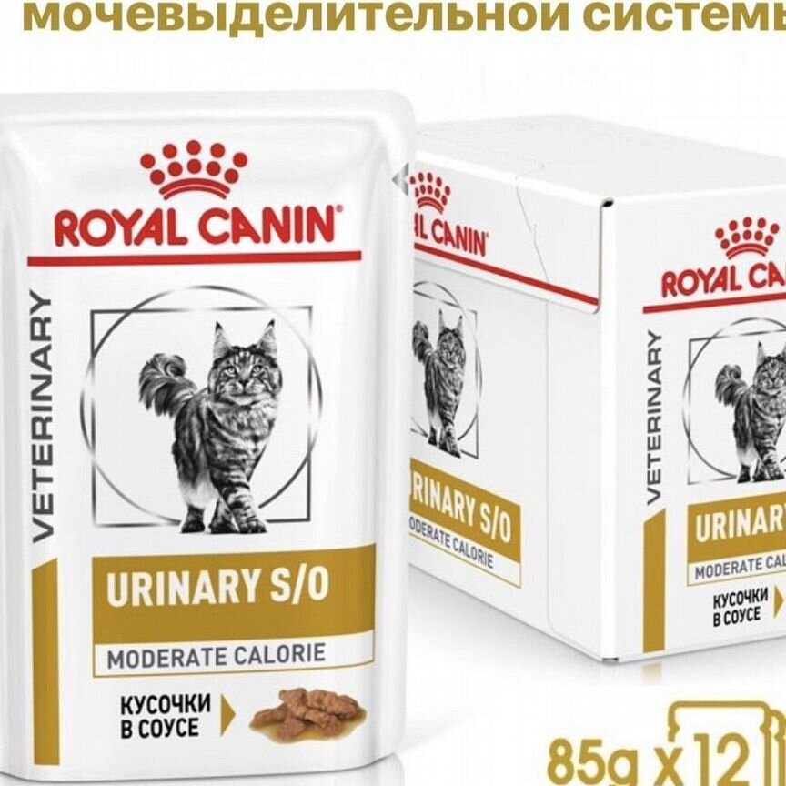 Влажный корм для кошек royal canin urinary