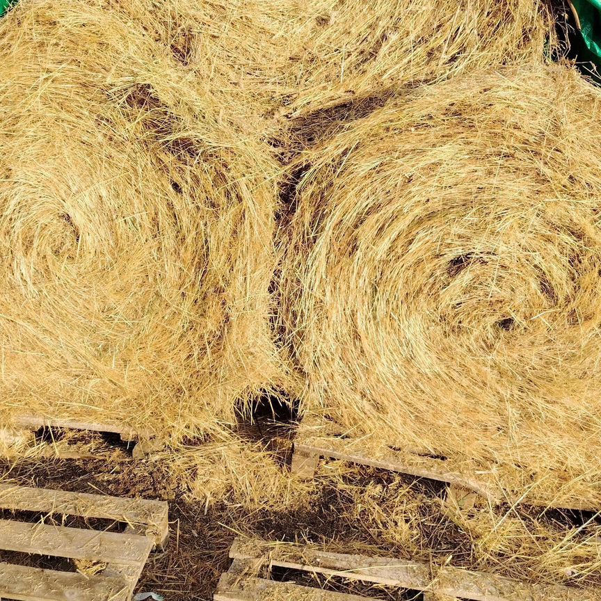 Продам сено в рулонах
