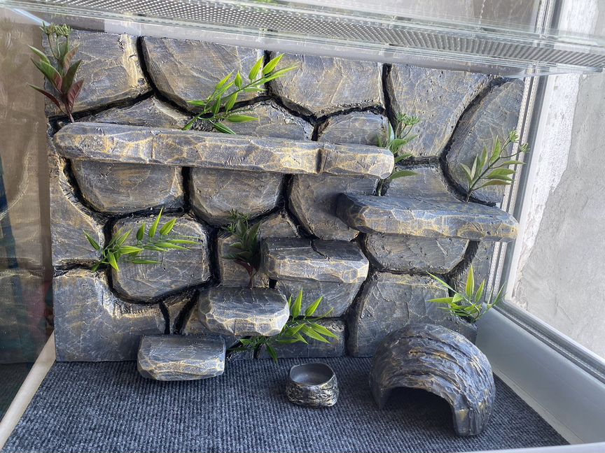 Обьемный фон для террариума