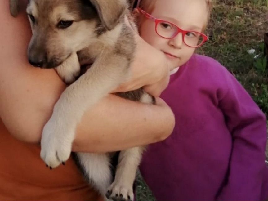 Щенок