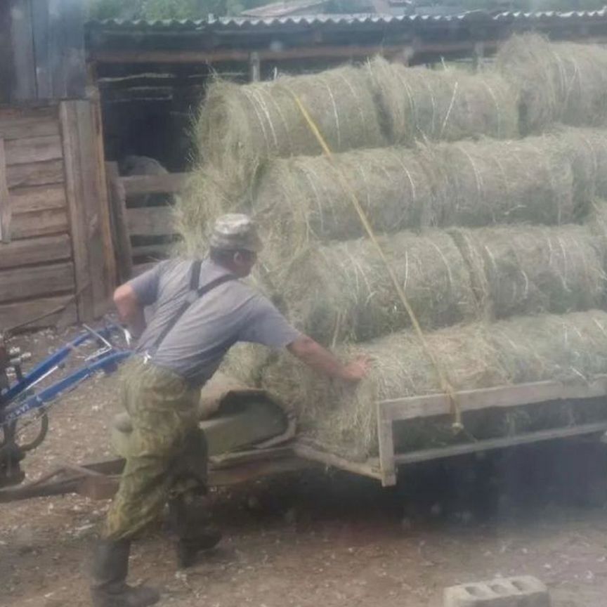 Сено в тюках