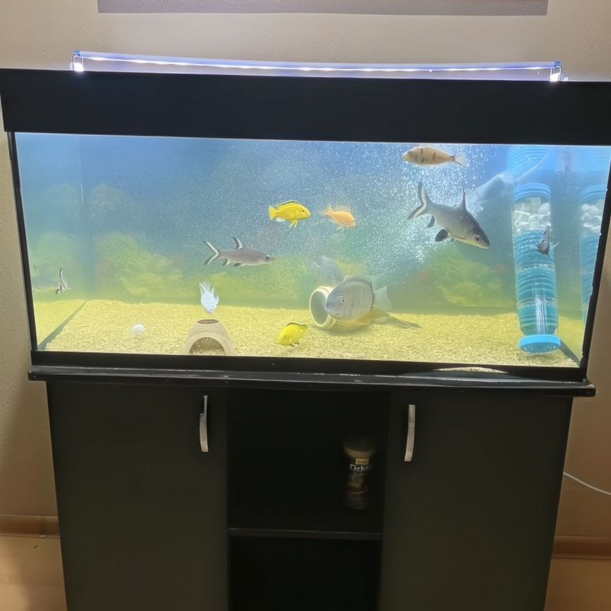 Аквариум с тумбой 200л