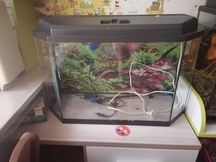 Аквариум для рыбок бу