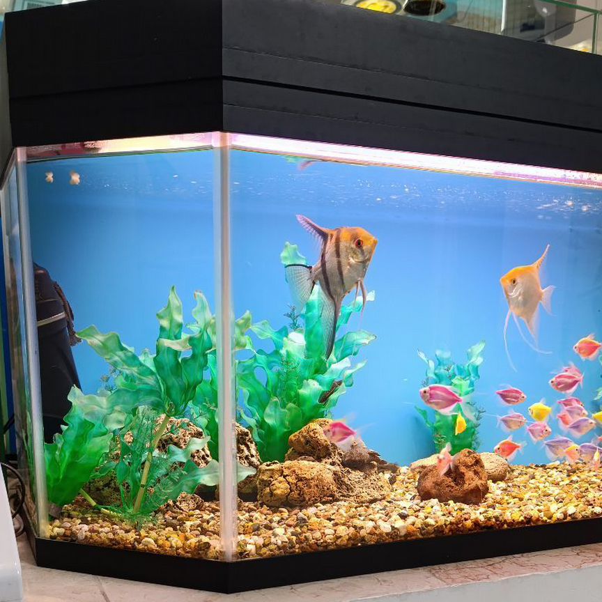 Аквариум с рыбками 210л