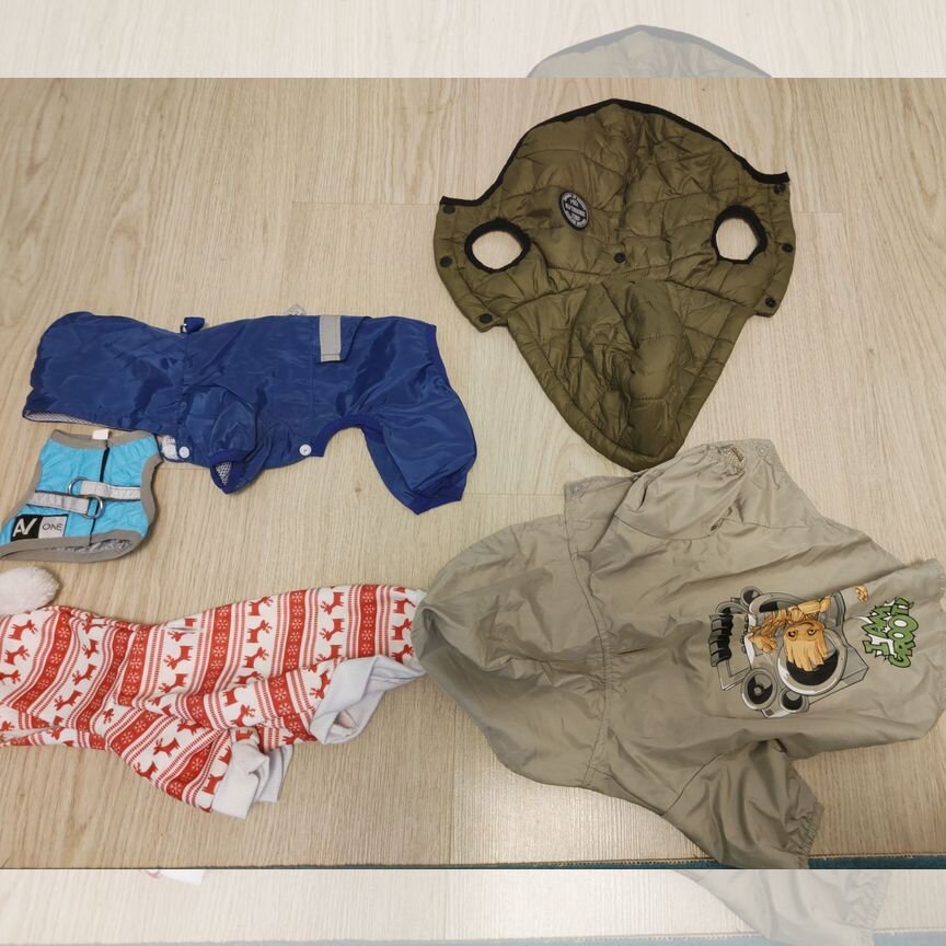 Одежда для маленьких собак