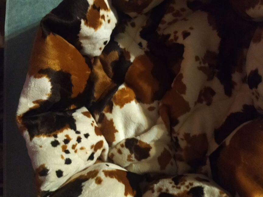 Лежанка для животных