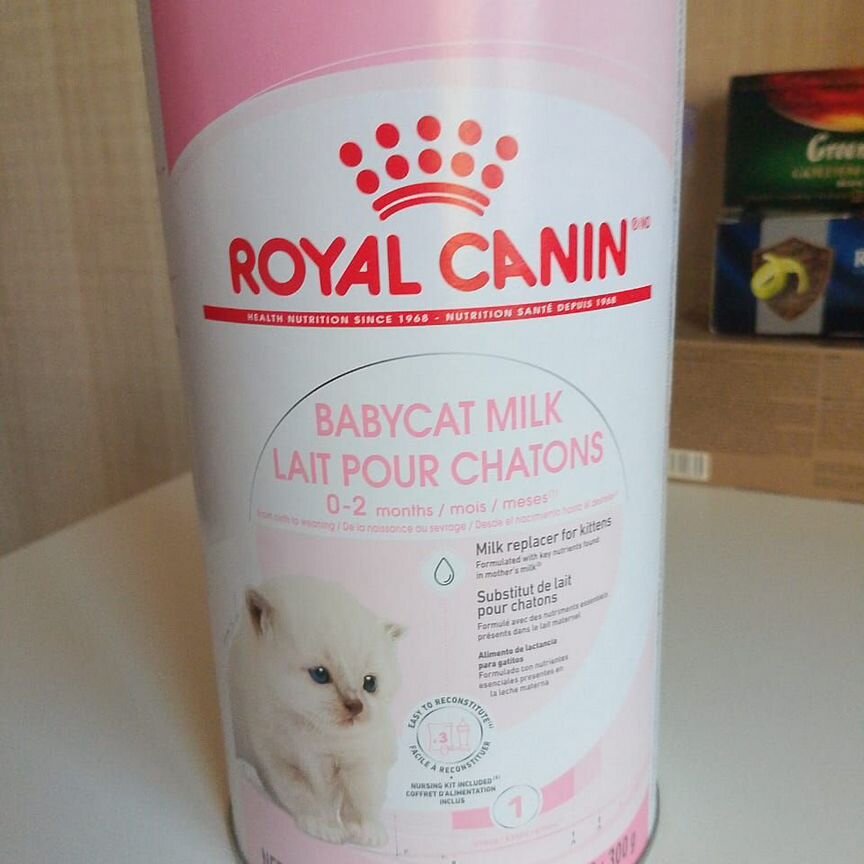 Сухое молоко Royal Canin Babycat milk для котят 0