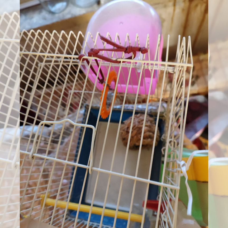 Клетка для попугая с аксессуарами