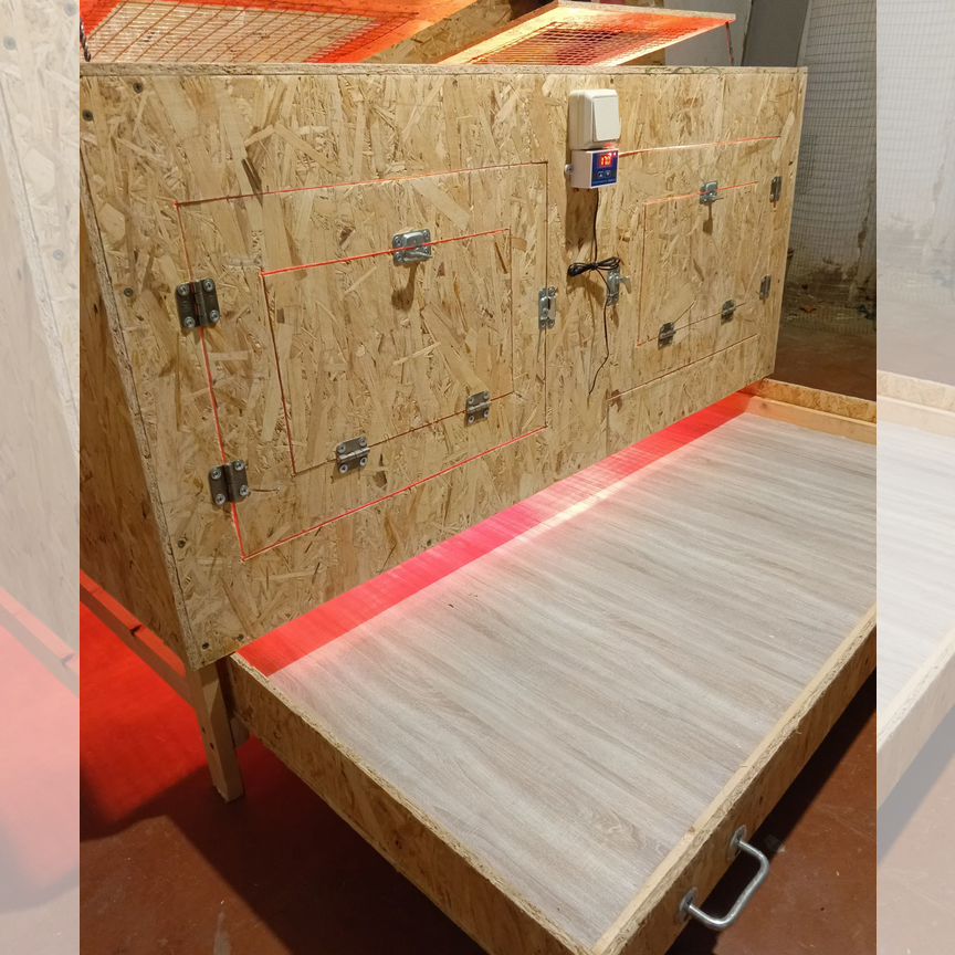 Брудер для цыплят, перепелов, птицы