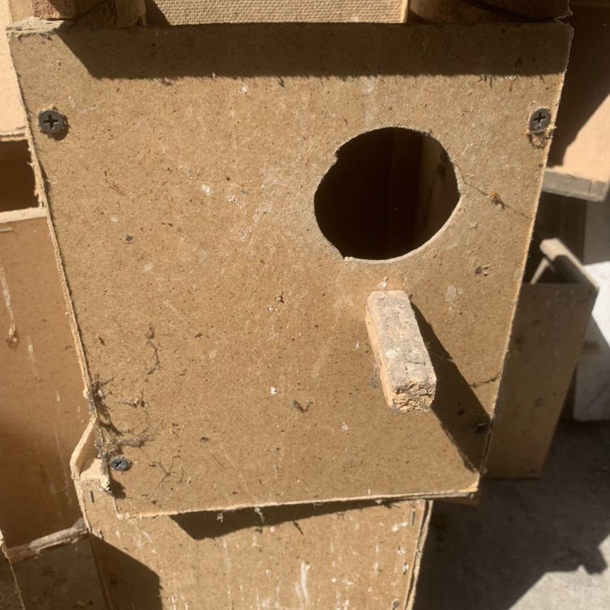 Скворечники для птиц