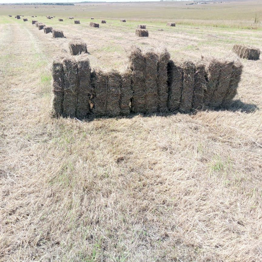 Корма для сельскохозяйственных животных