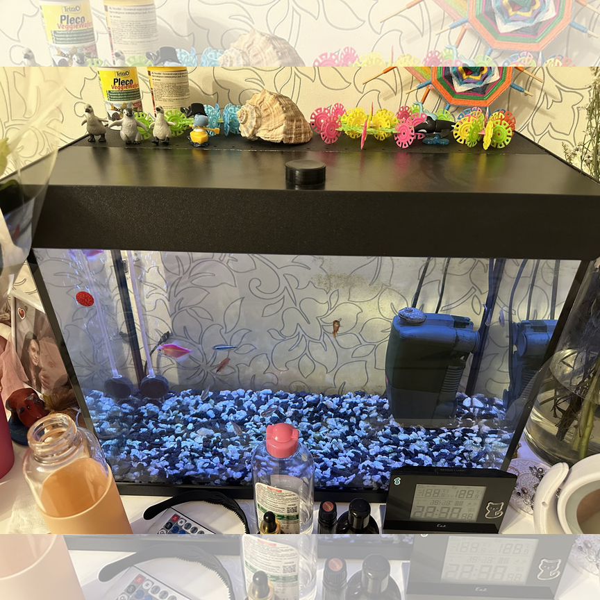 Аквариум с рыбками