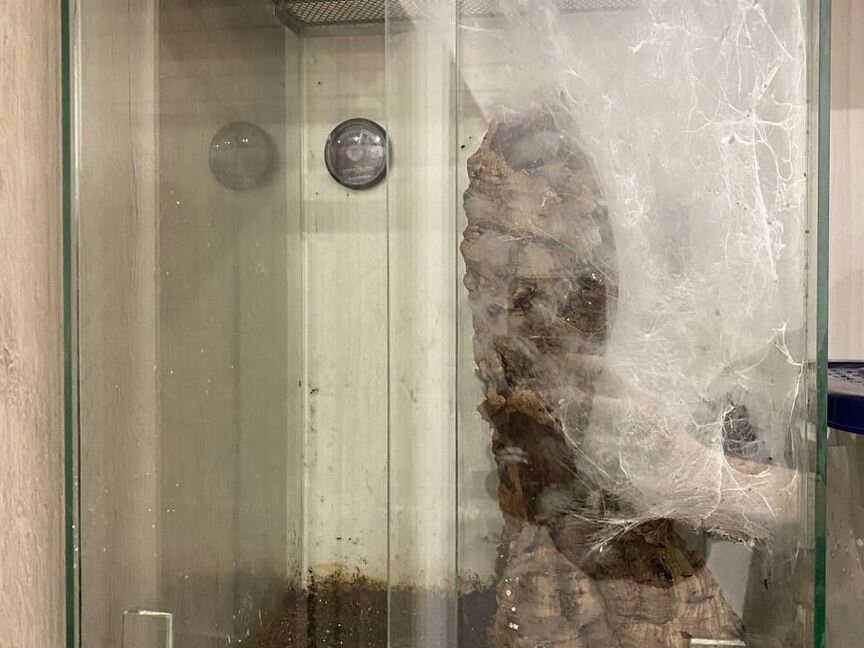 Террариум 45х30х30