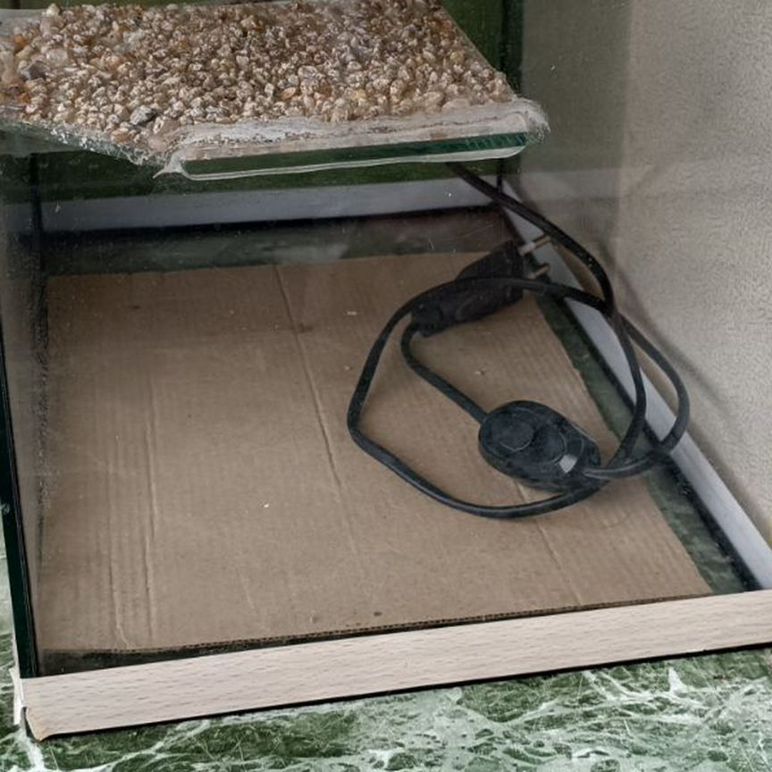 Аквариум для черепах