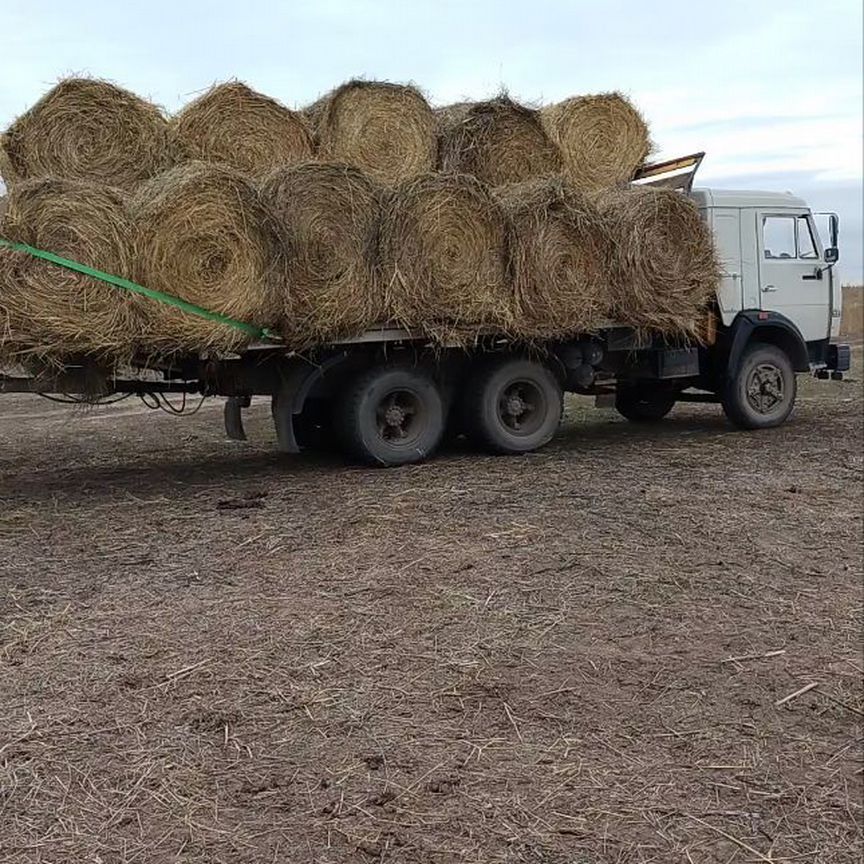 Продам сено в рулонах