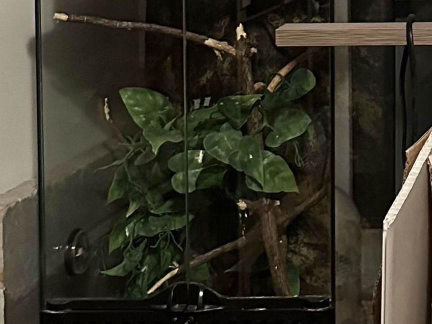 Террариум exo terra 45*30*30 со светильником