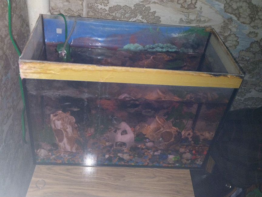 Аквариум с рыбками и с принадлежностями