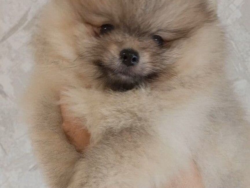 Шикарный паренёк