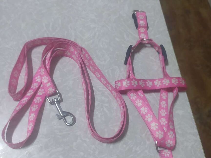 Ошейник для животных