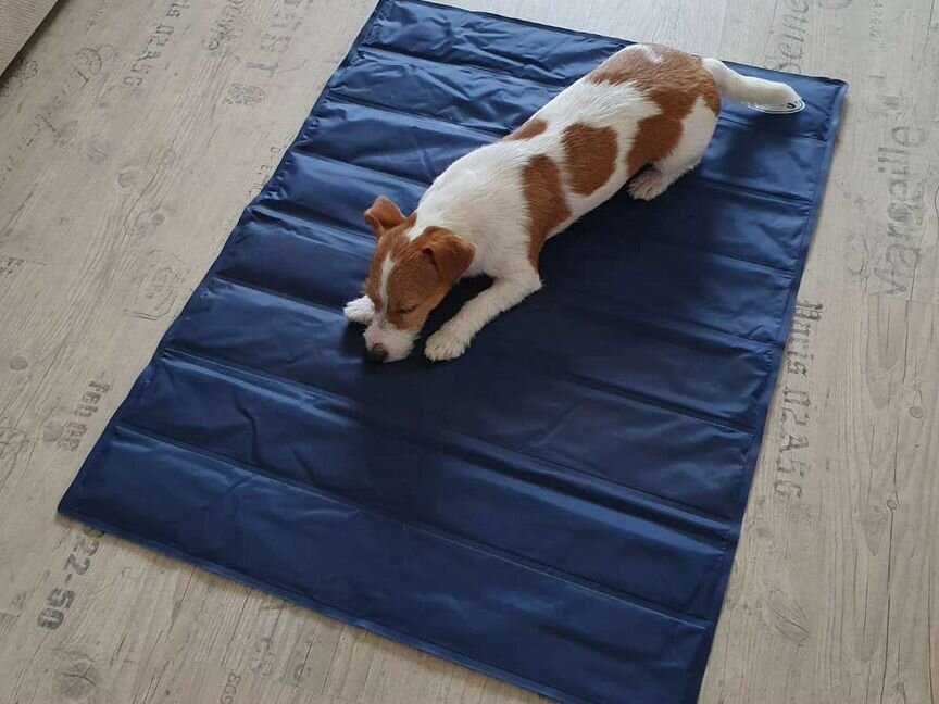 Охлаждающий коврик для собак