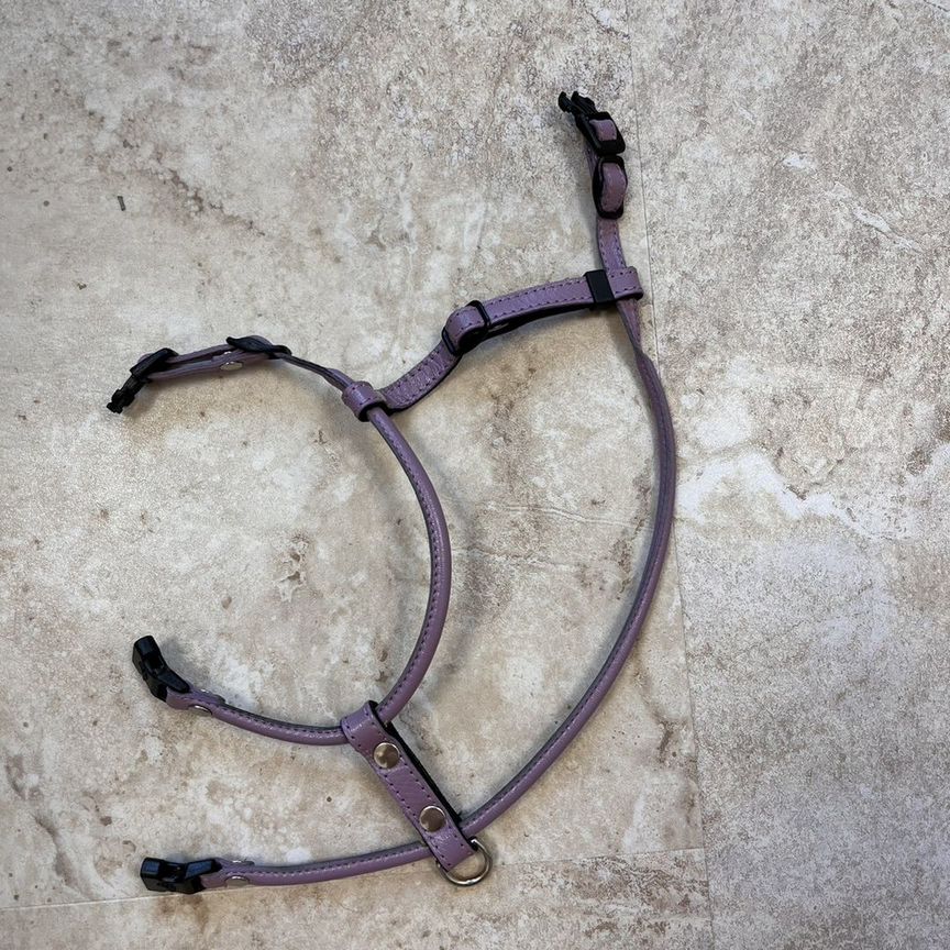 Шлейка круглая для собаки из кожи XS