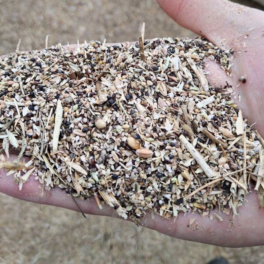 Зерноотходы