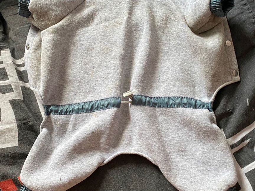 Собачий костюм