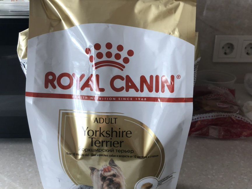 Корм для собак